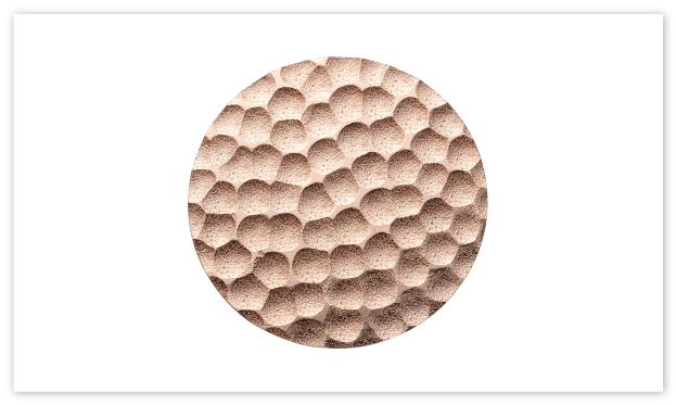 Custom Electronic Emblems | LaFrance